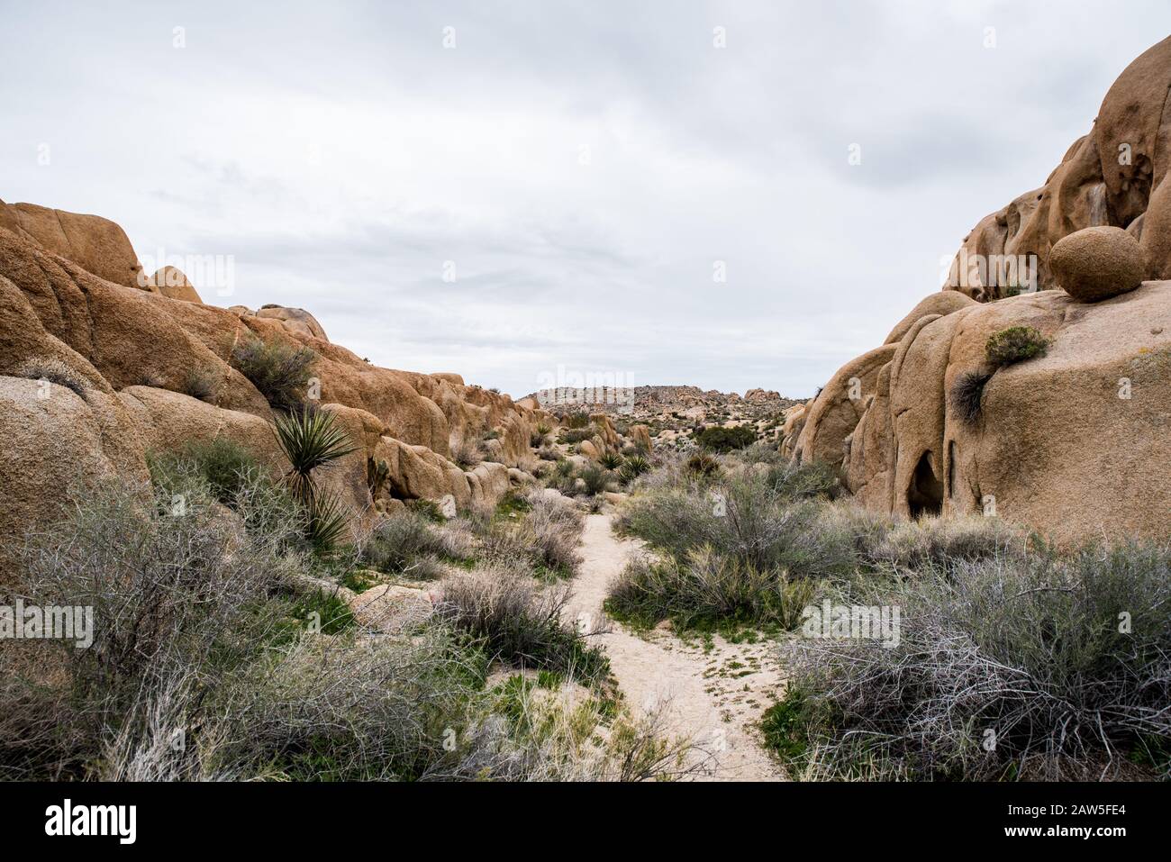 Path through Shrubs and large rock formations leading into distance ...