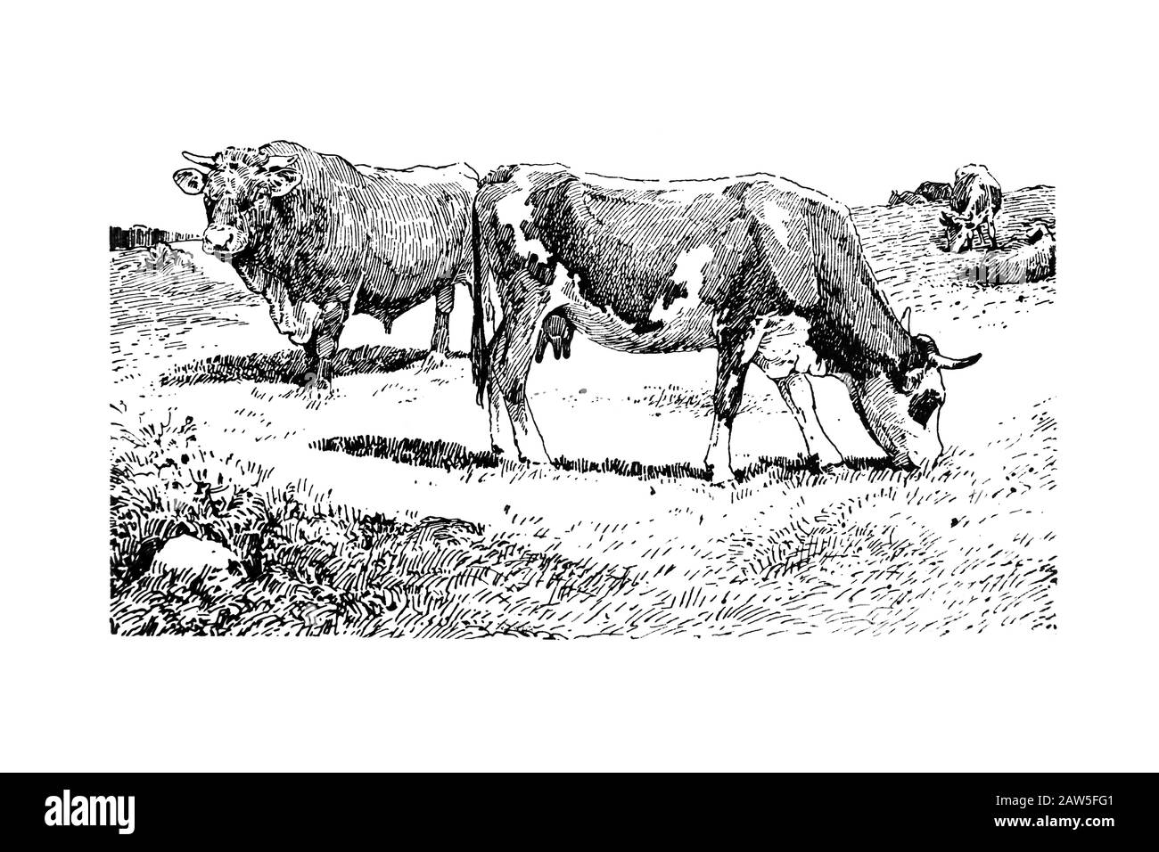 Farmer 1800 Black and White Stock Photos & Images - Alamy