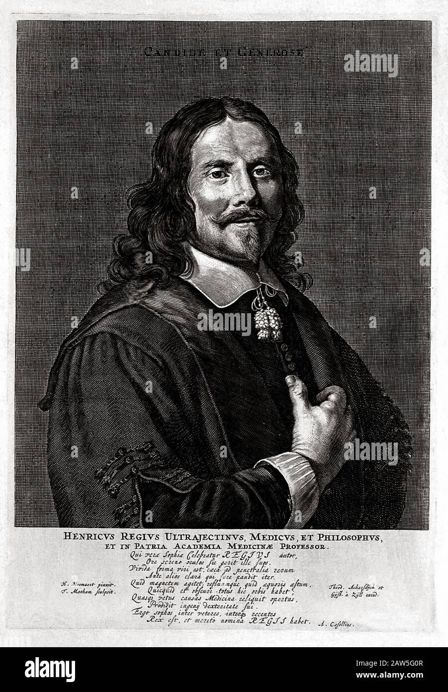Portrait of henricus regius hi-res stock photography and images - Alamy