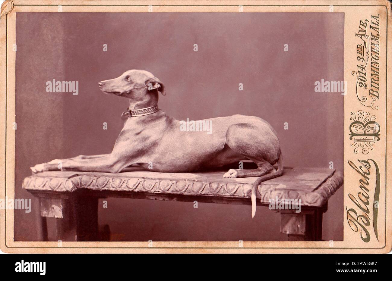 Visite storiche hi-res stock photography and images - Alamy
