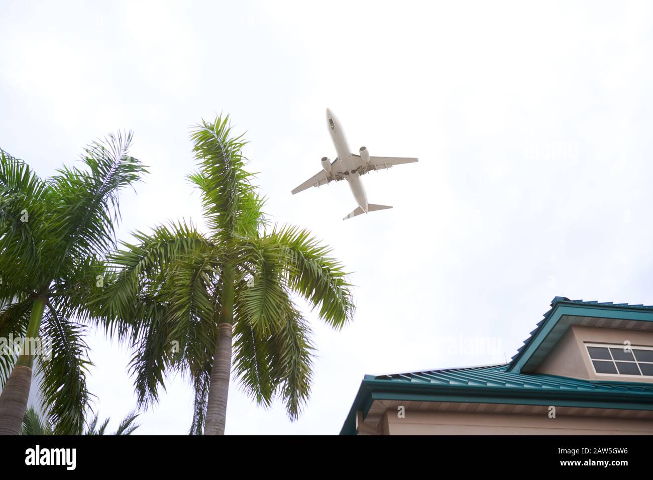 Airplane flying over the palm trees and residential building Stock ...