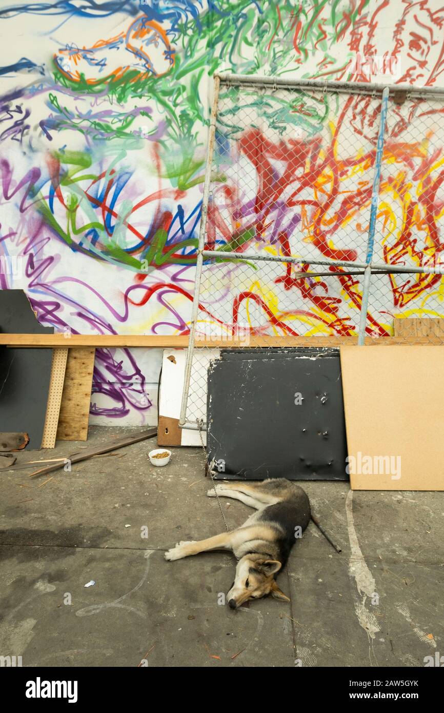 Urban Blight, near 10 Freeway, Maple exit. Los Angeles, California, USA ...