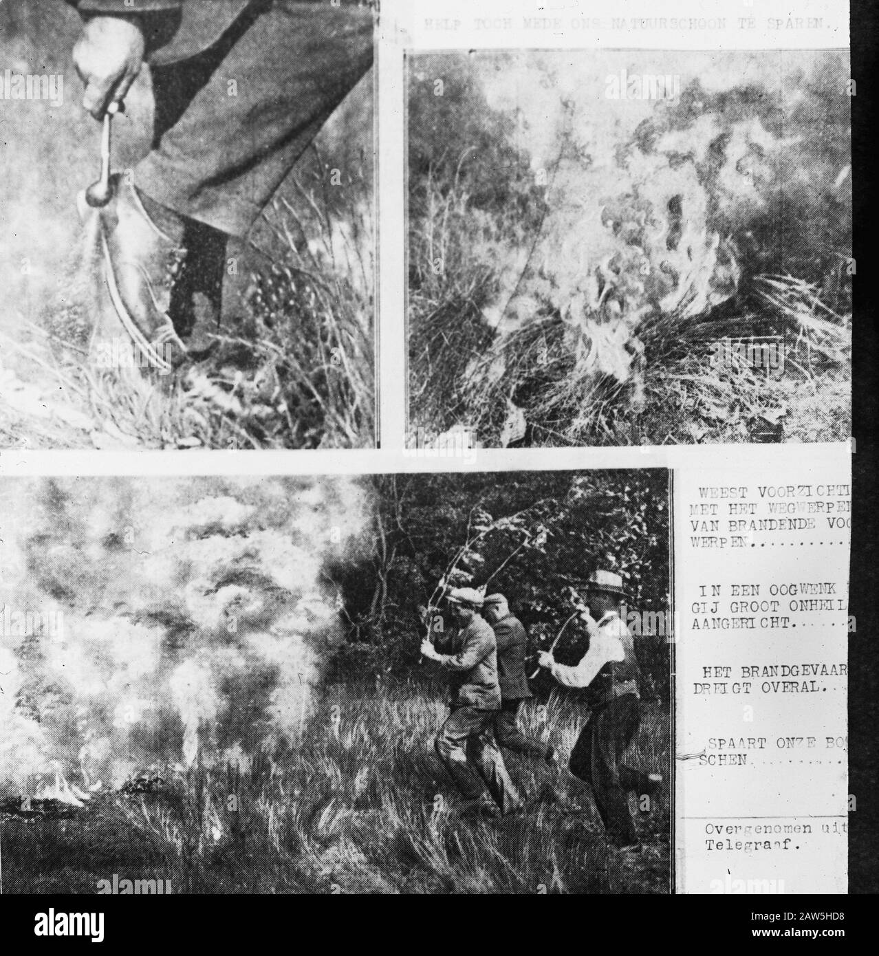 origin and extinguishing fire / / Date: undated Keywords: forestry ...