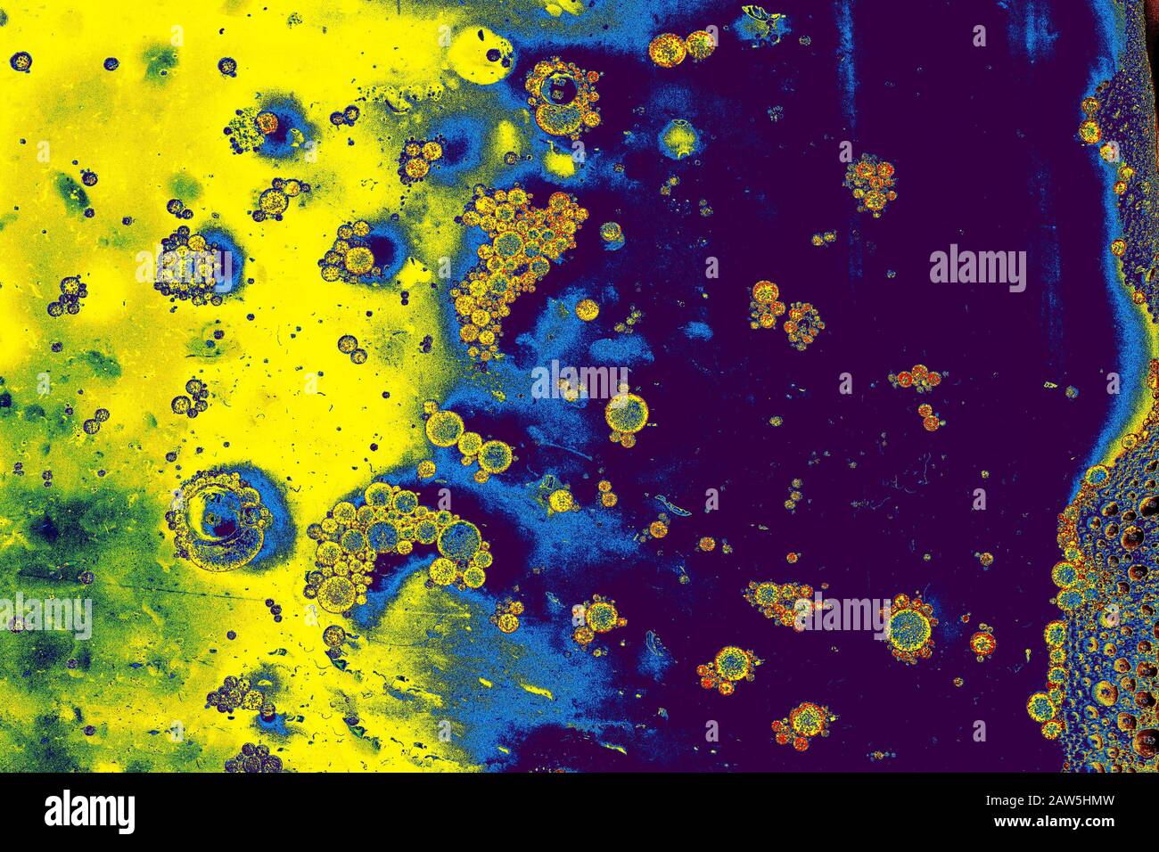 Micro texture hi-res stock photography and images - Alamy