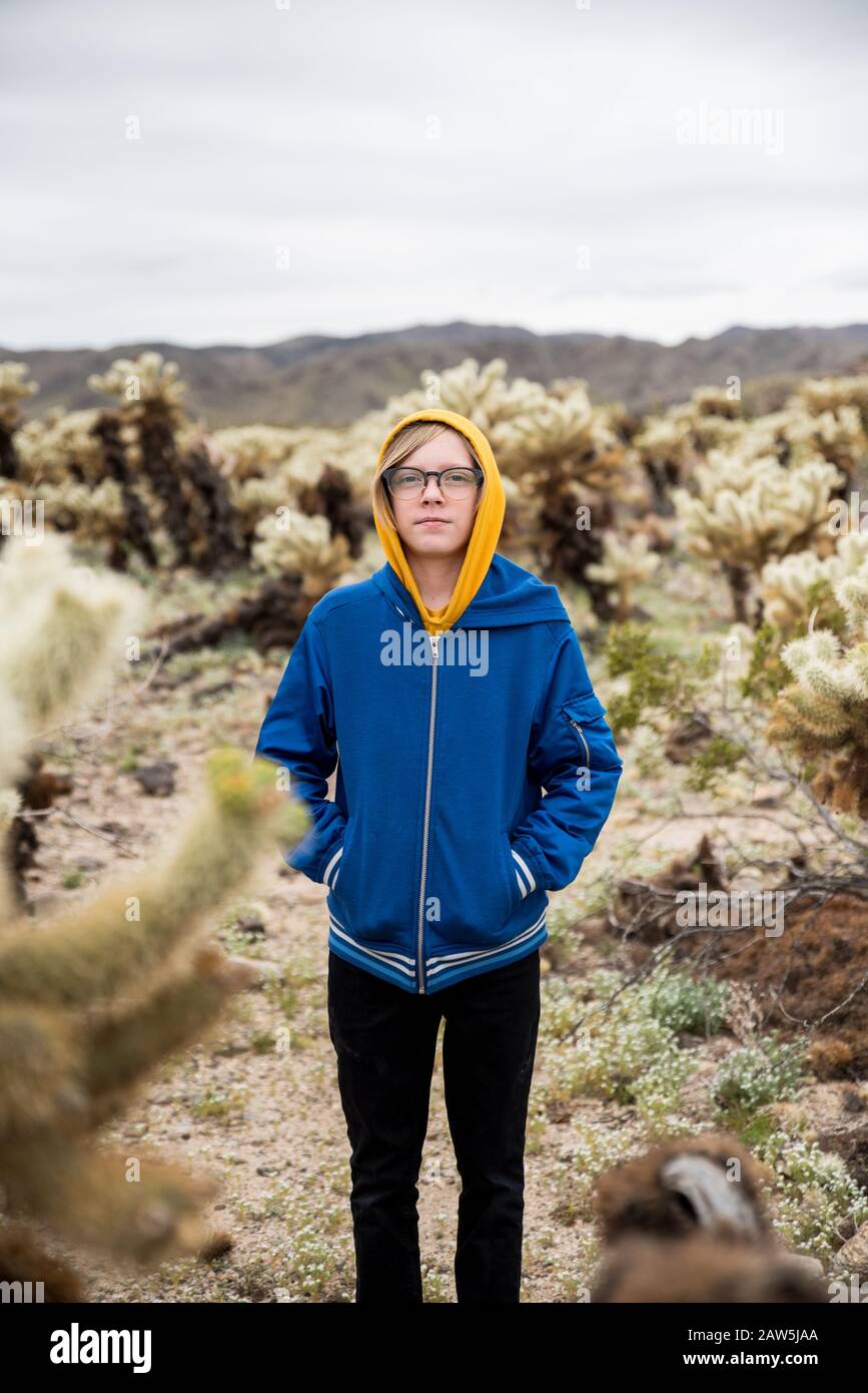 Tween boy with glasses in desert surrounded by cholla cacti by hills ...