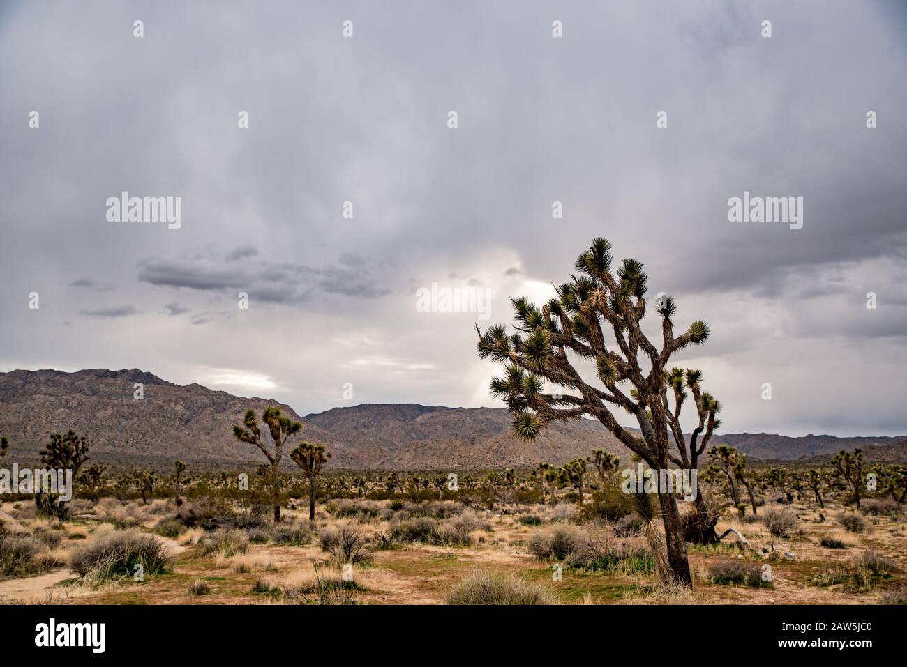 Cloudy desert sky hi-res stock photography and images - Alamy