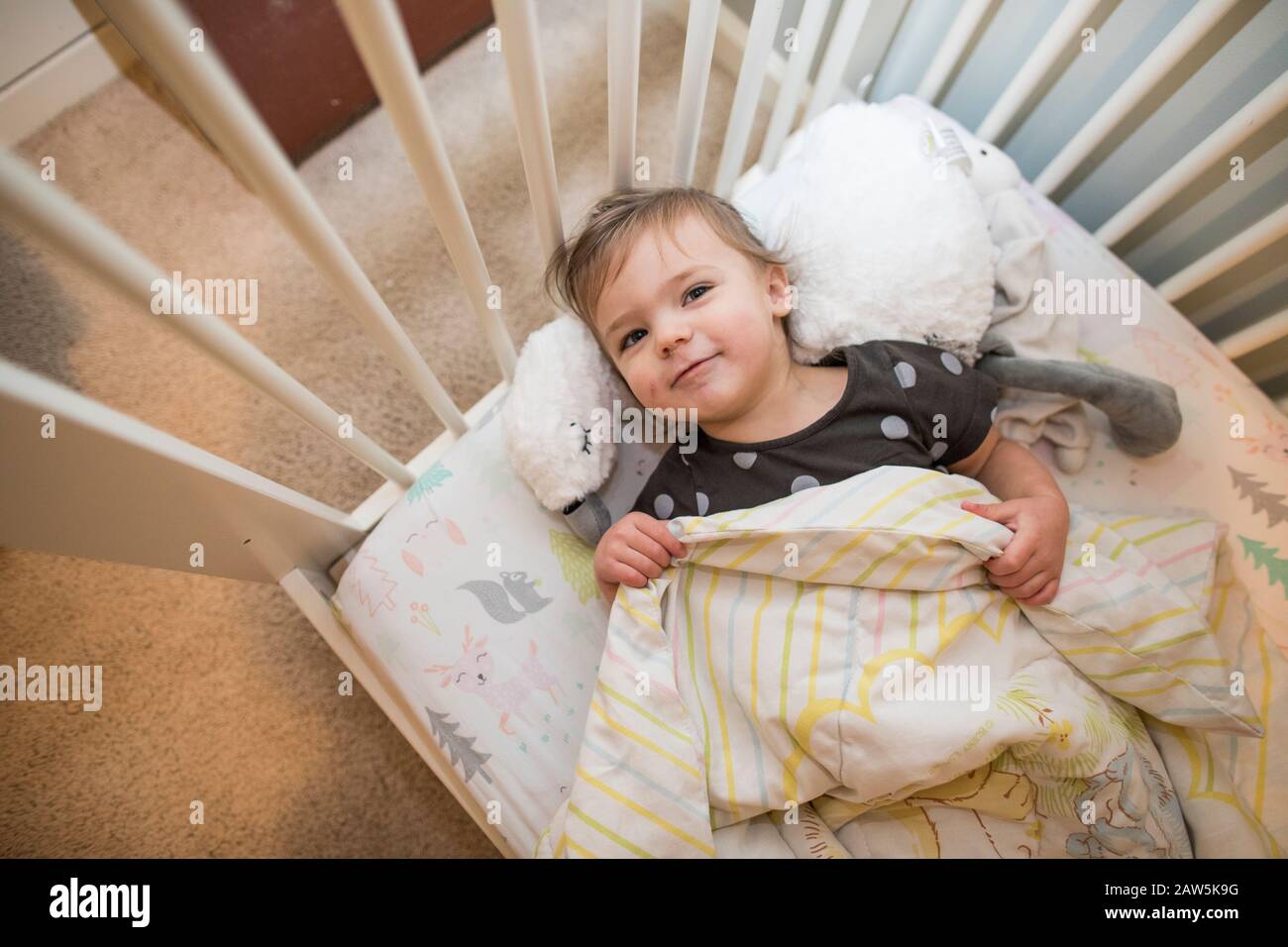 High angle view of toddler girl laying in her bed Stock Photo - Alamy