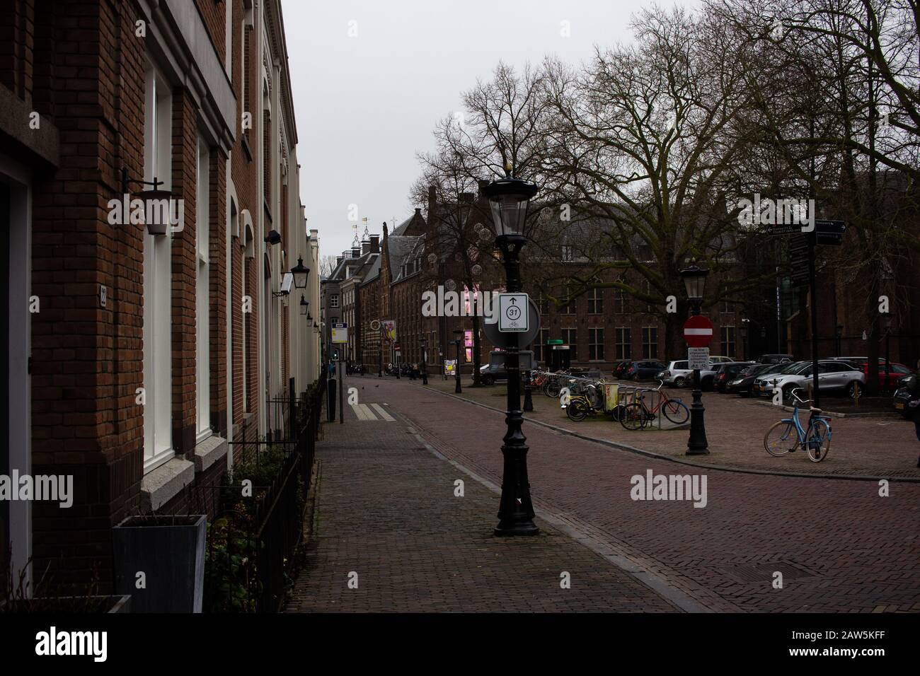 Avenue trees in netherlands hi-res stock photography and images - Alamy