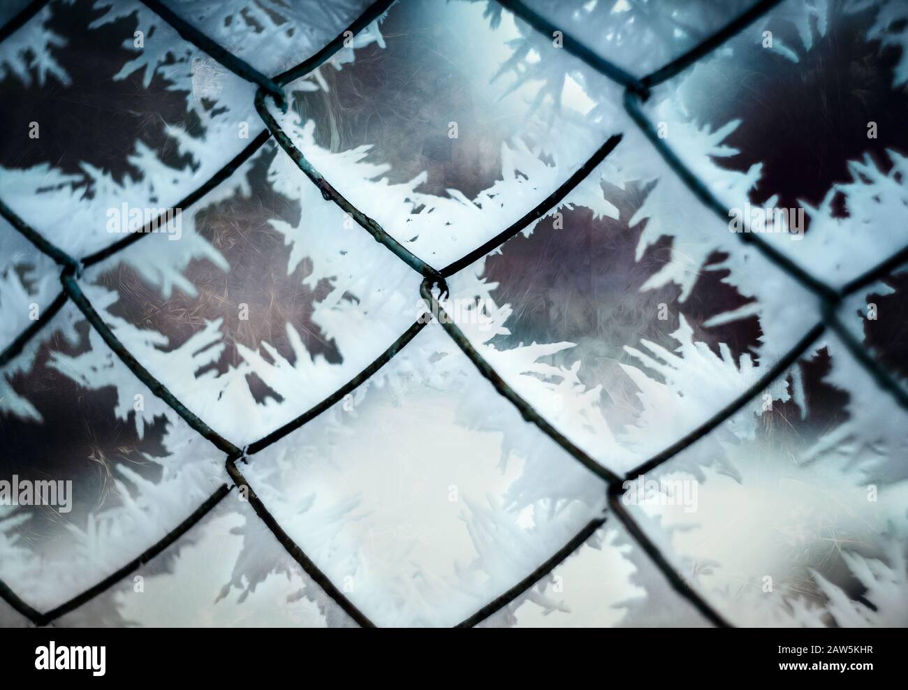 The flowers on the frost glass. The frost flowers are on the window ...