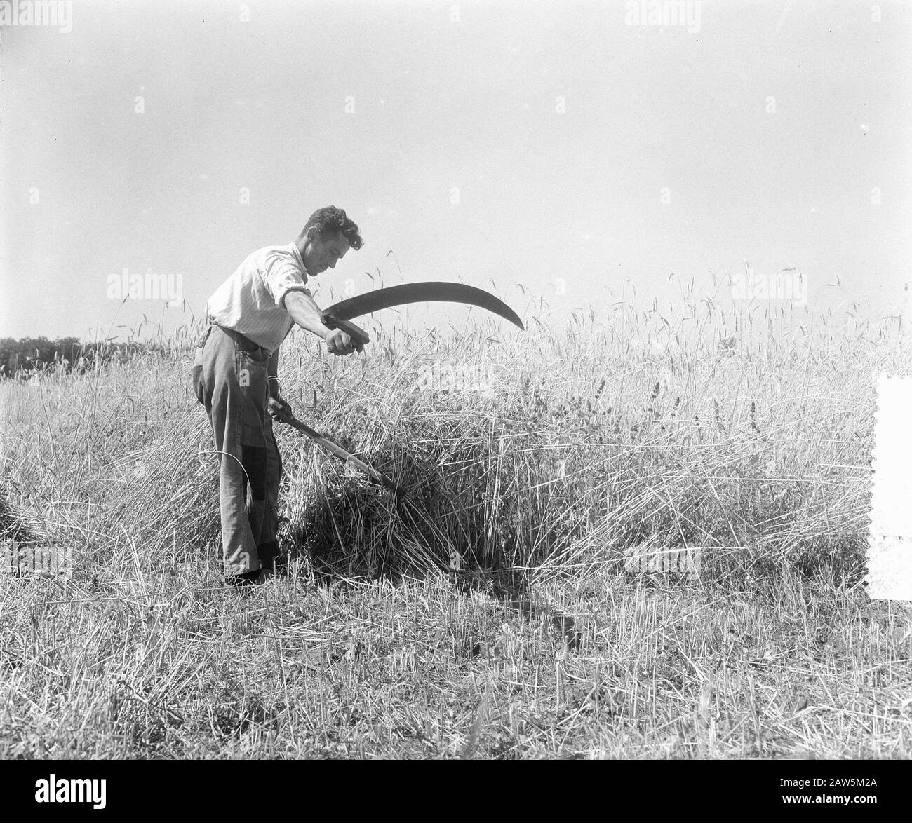 Sickle agriculture hi-res stock photography and images - Alamy