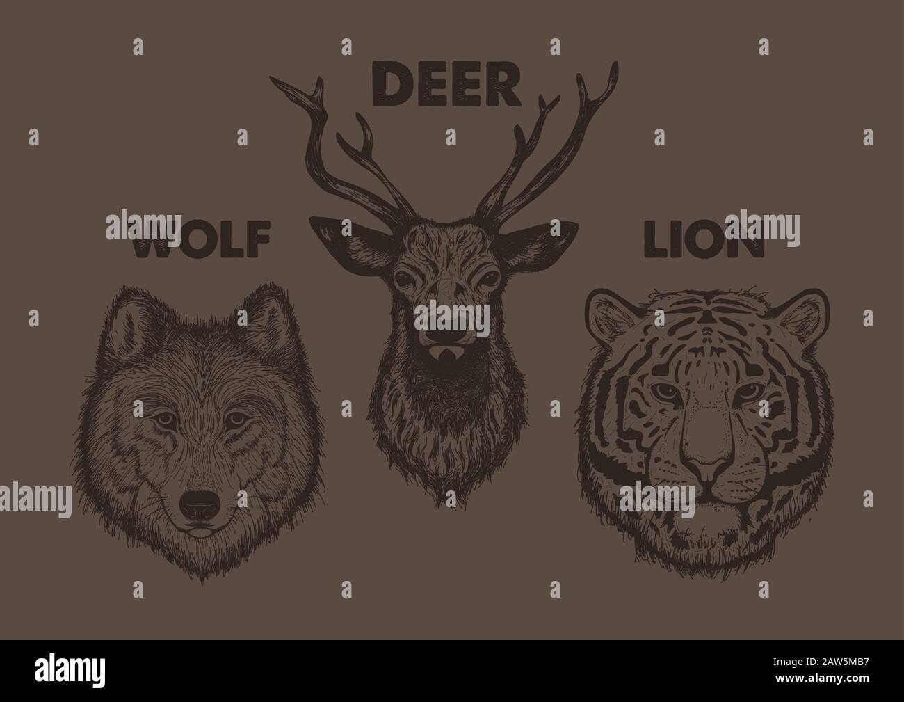 Vintage set animal head illustration. Hand-drawn heads of wild animals ...