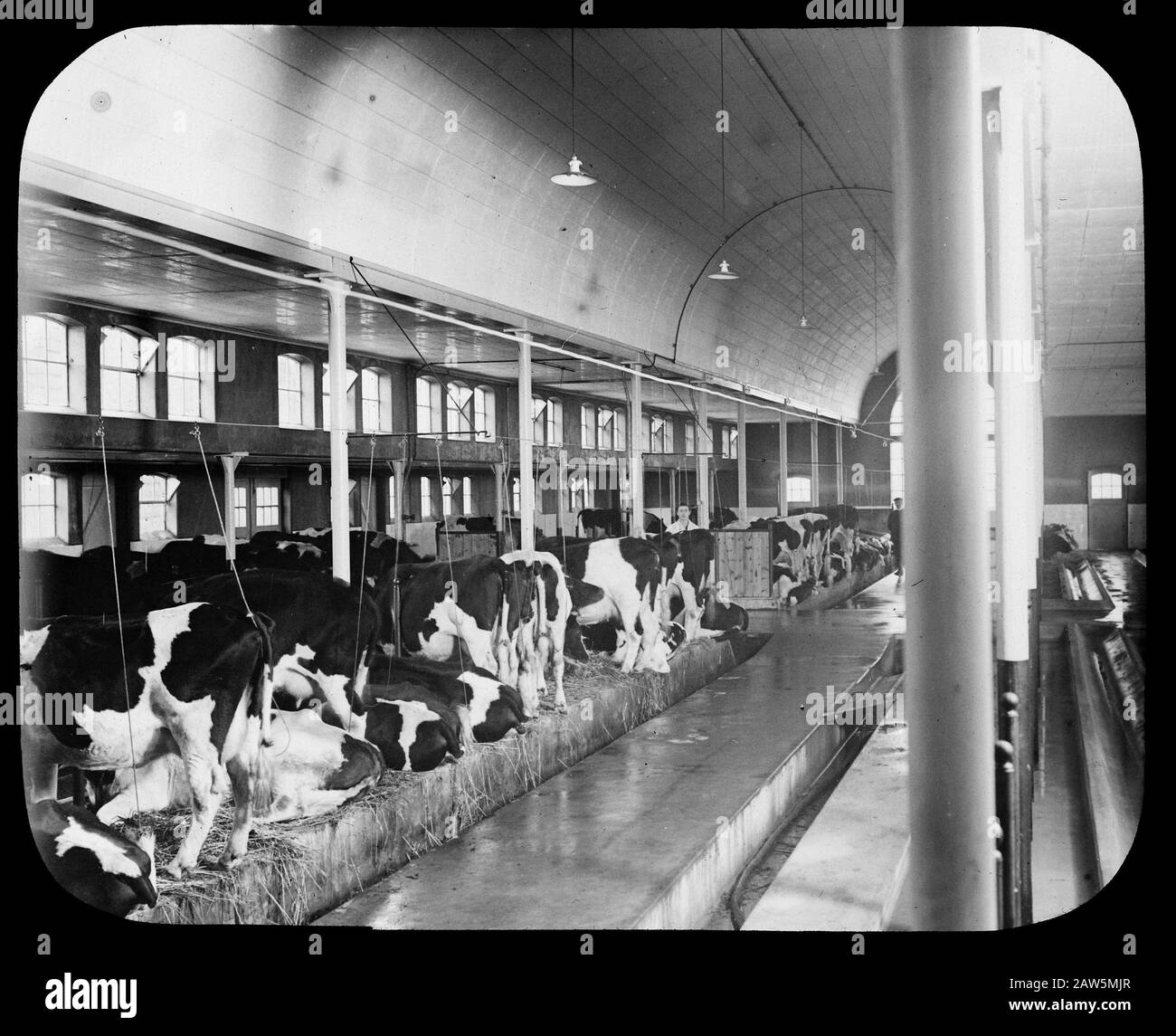 Converted cowshed Black and White Stock Photos & Images - Alamy