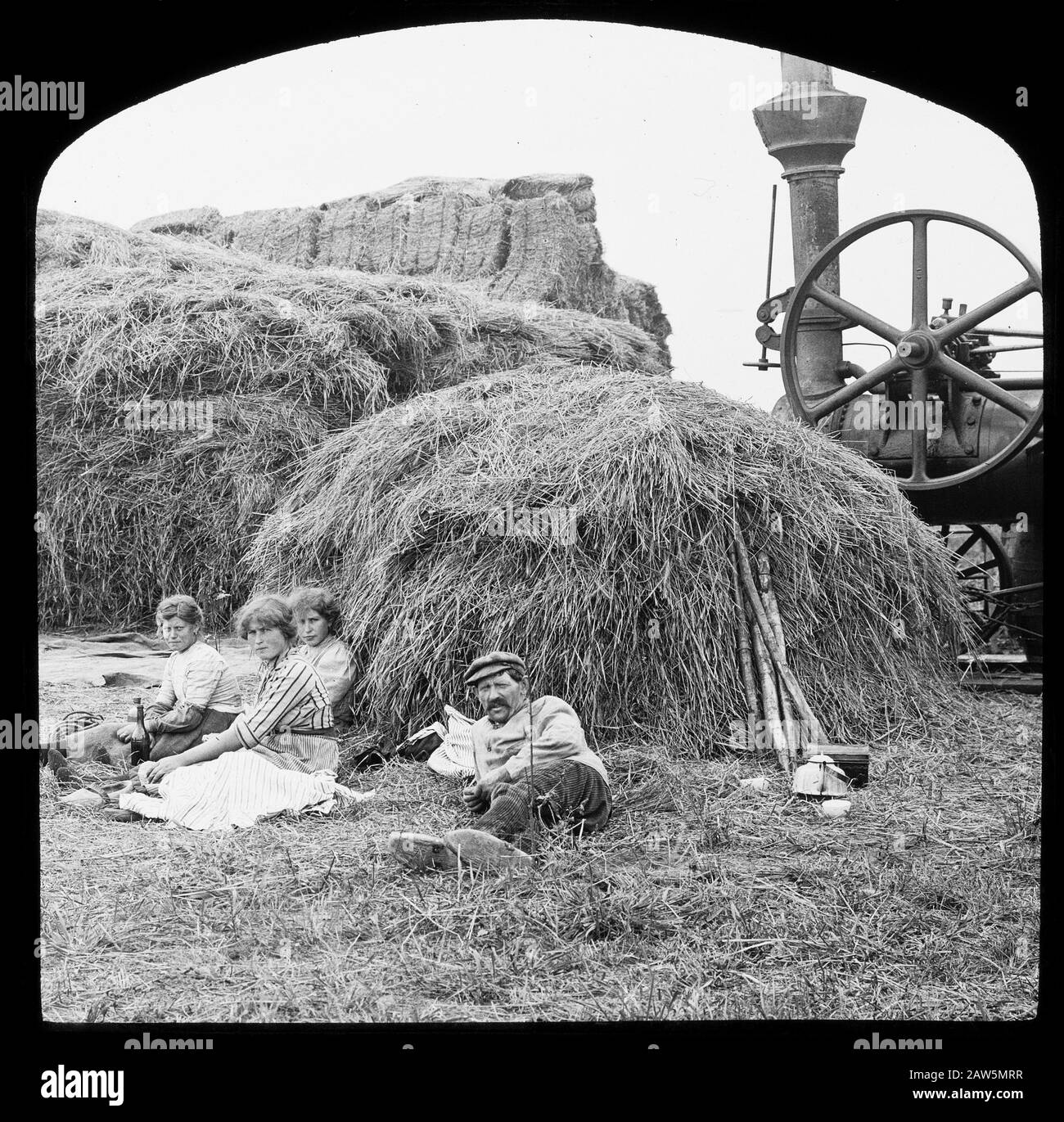 reclamation, crop the field, threshing Date: undated Keywords ...