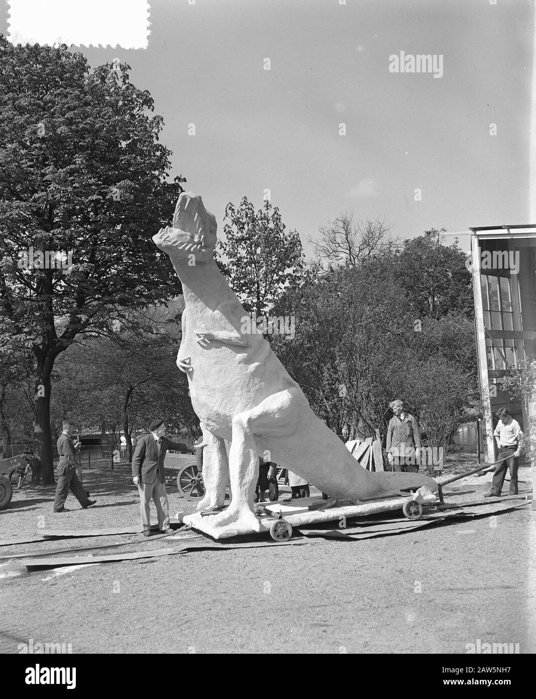 New arrival Artis a tyrannosaurus Date: May 7, 1954 Institution Name ...