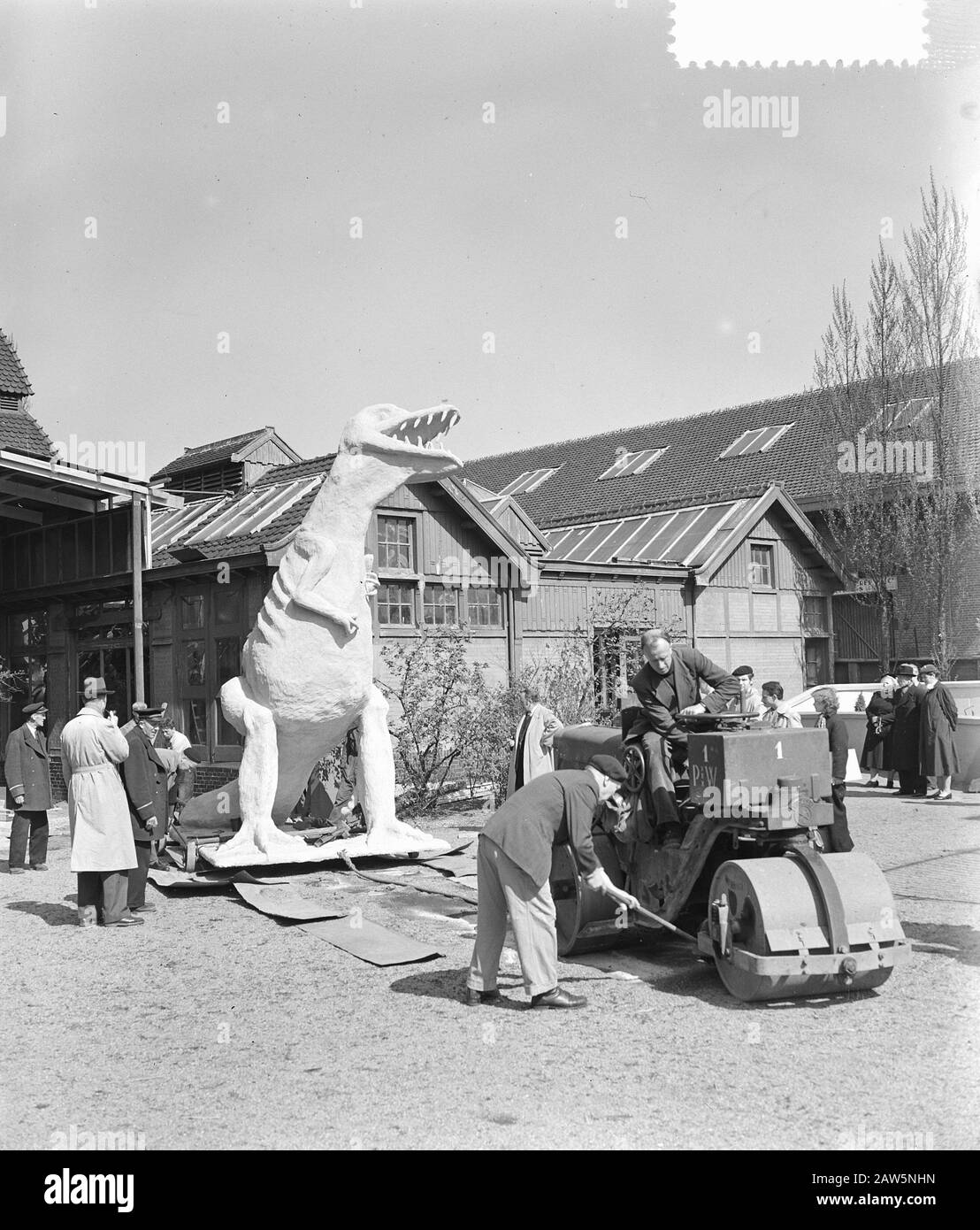 New arrival Artis a tyrannosaurus Date: May 7, 1954 Institution Name ...
