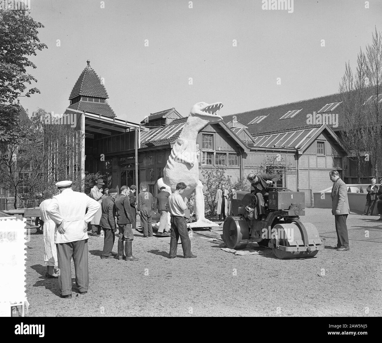 New arrival Artis a tyrannosaurus Date: May 7, 1954 Institution Name ...