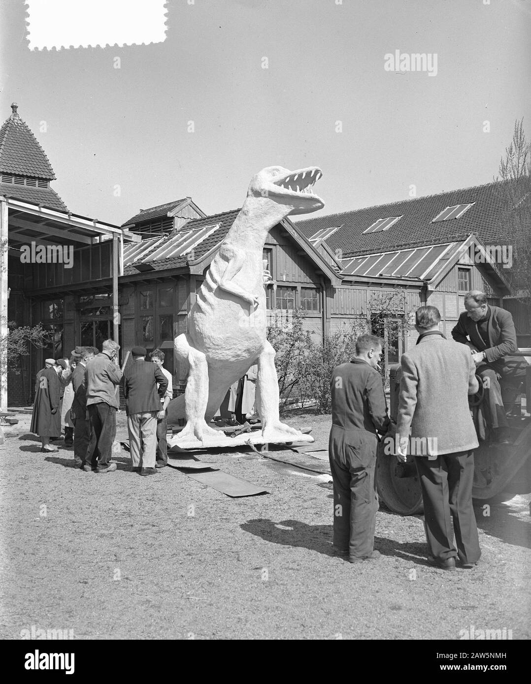 New arrival Artis a tyrannosaurus Date: May 7, 1954 Institution Name ...