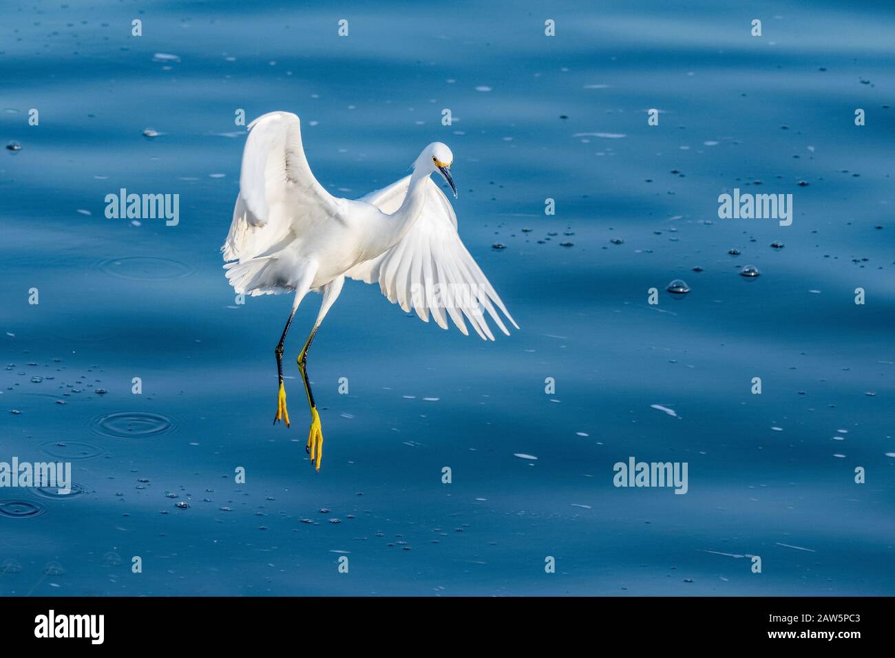 Balboa landing hi-res stock photography and images - Alamy