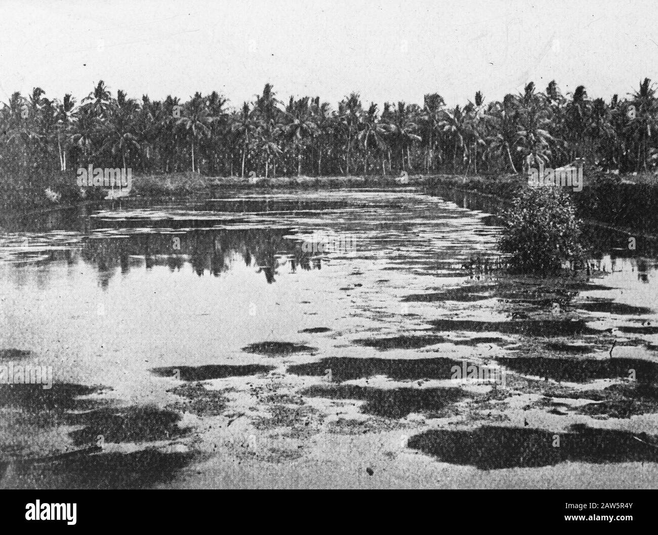 old status pond Date: undated Keywords: freshwater fishing Stock Photo ...