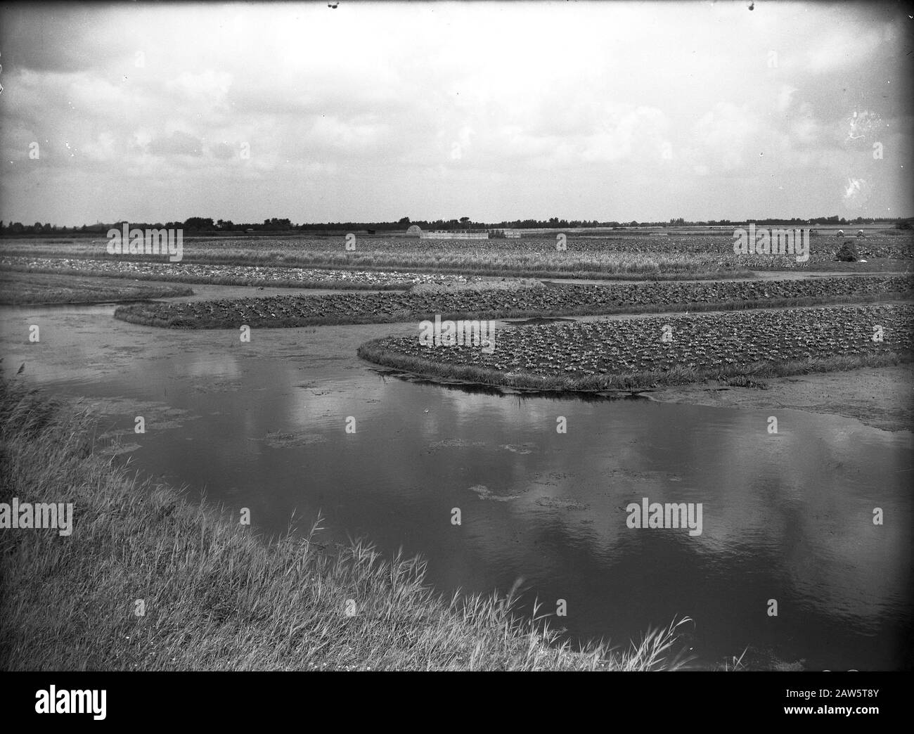 Waarland hi-res stock photography and images - Alamy