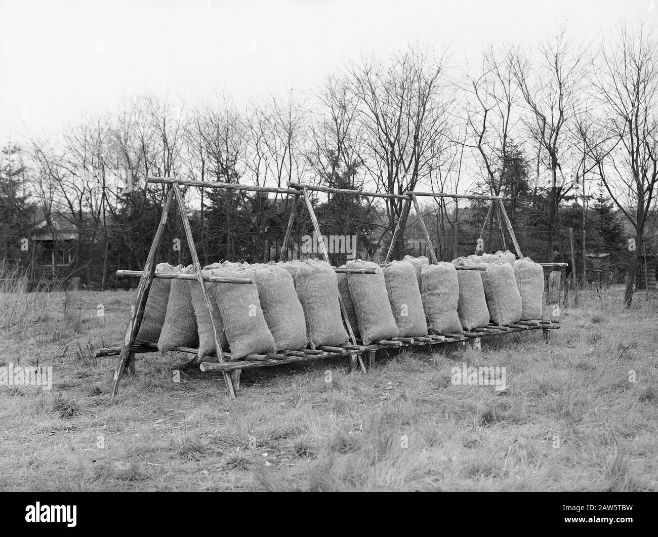 corn cultivation and tobacco, corn, drying racks Date: undated Keywords ...