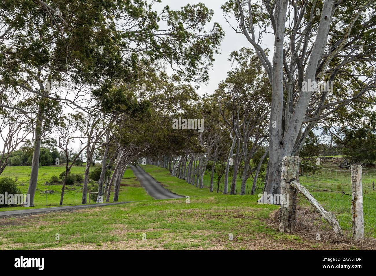Paniolo waimea hi-res stock photography and images - Alamy