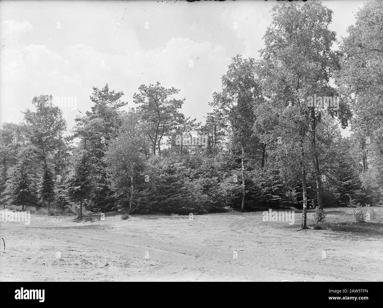 800 hectares of land Black and White Stock Photos & Images - Alamy