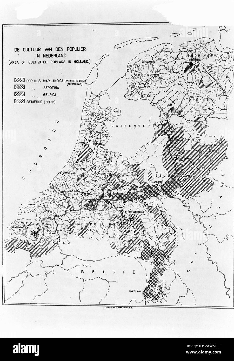 Ecological mapping Cut Out Stock Images & Pictures - Alamy