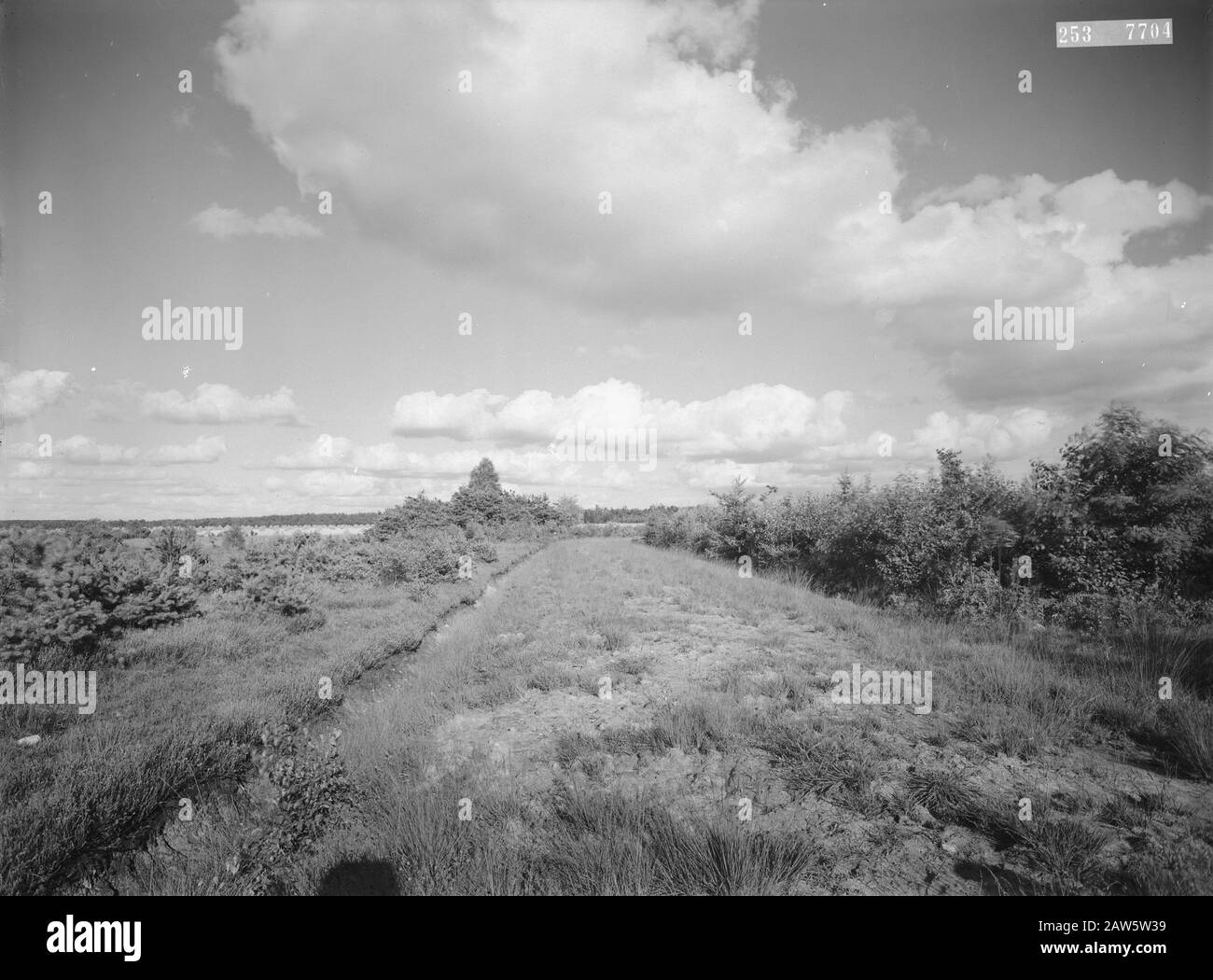 landscapes, nature Date: undated Keywords: landscapes, nature Stock ...