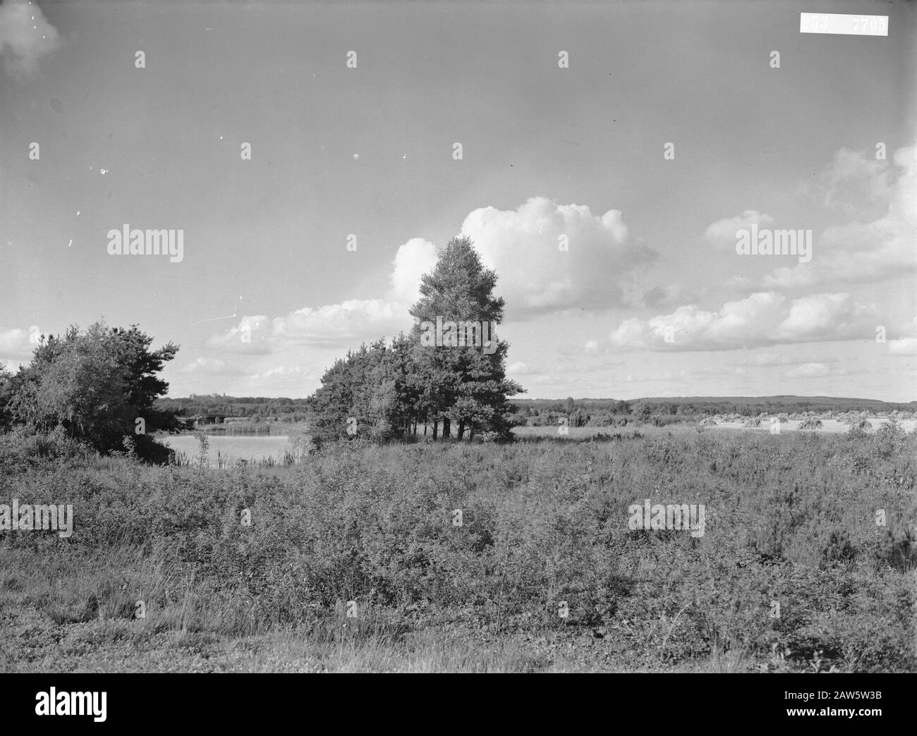 landscapes, nature Date: undated Keywords: landscapes, nature Stock ...