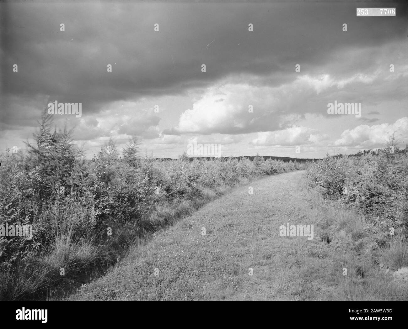 landscapes, nature Date: undated Keywords: landscapes, nature Stock ...