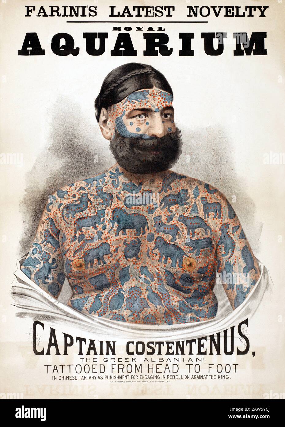 1880 ca , NEW YORK , USA : CAPTAIN GEORGE COSTENTENUS ( born in 1833 ...