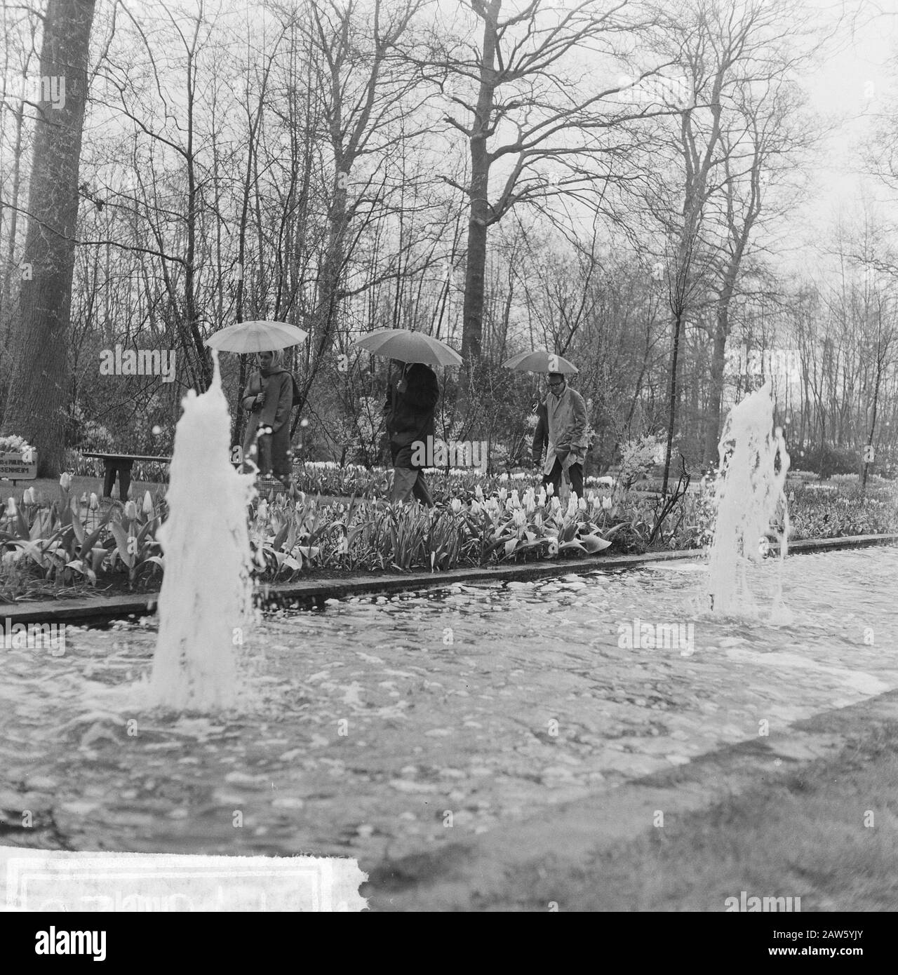 Easter 1965 tourists at Keukenhof with umbrellas armed Date: April 18 ...