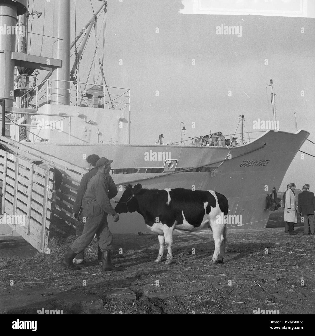 Cattle ships hi-res stock photography and images - Alamy