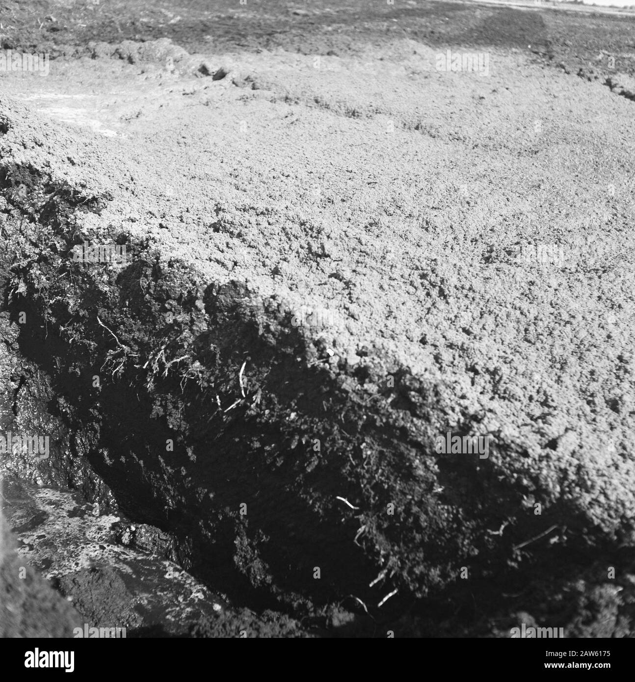 mining, soil, leveling, sanding, land consolidation, sanded profile ...