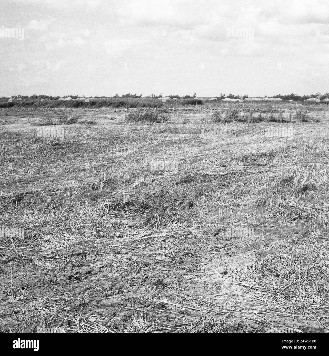 mining, soil, leveling, sanding, sprayed areas Date: July 1963 Location ...