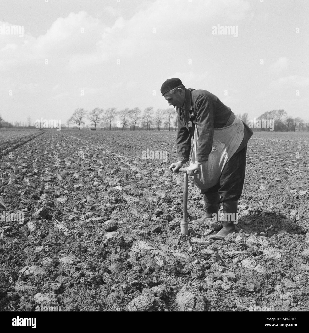 mining, sowing and harvesting crops, legs, potatoes, workers, estates ...