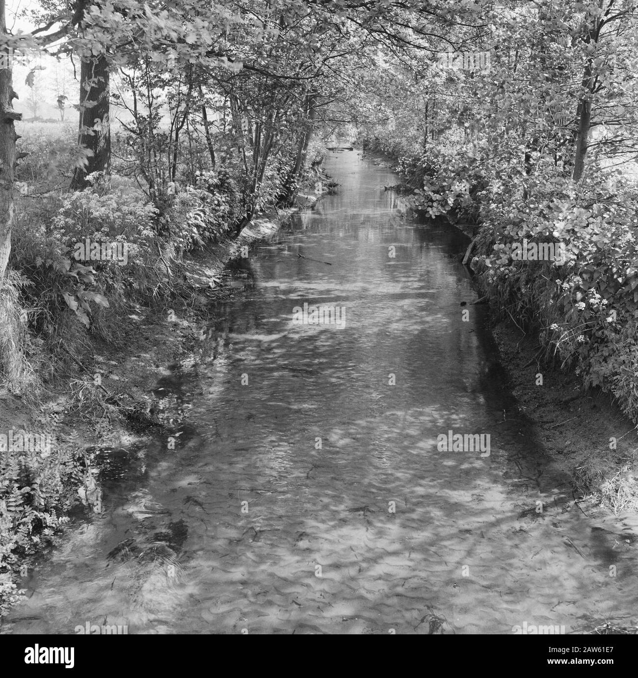 normalization of streams, digging and filling in trenches, laying ...