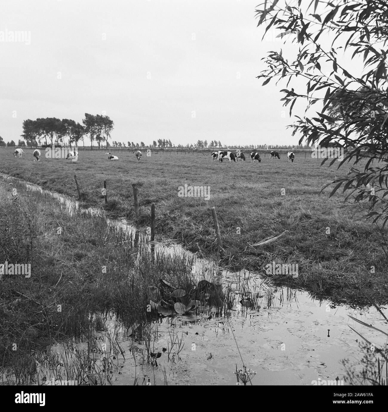 normalization of streams, digging and filling in trenches, laying ...