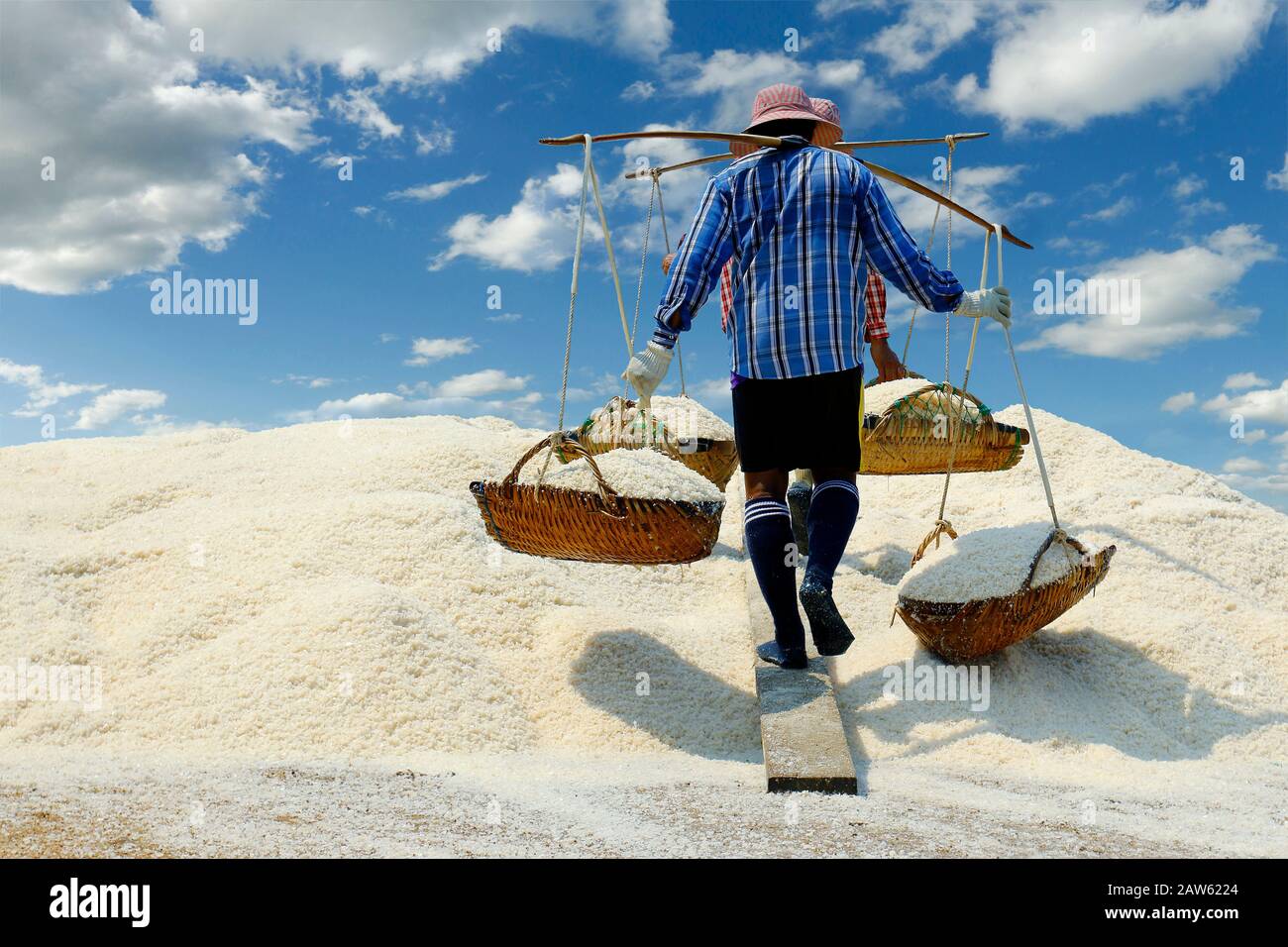 worker harvesting salt in salt field Stock Photo - Alamy