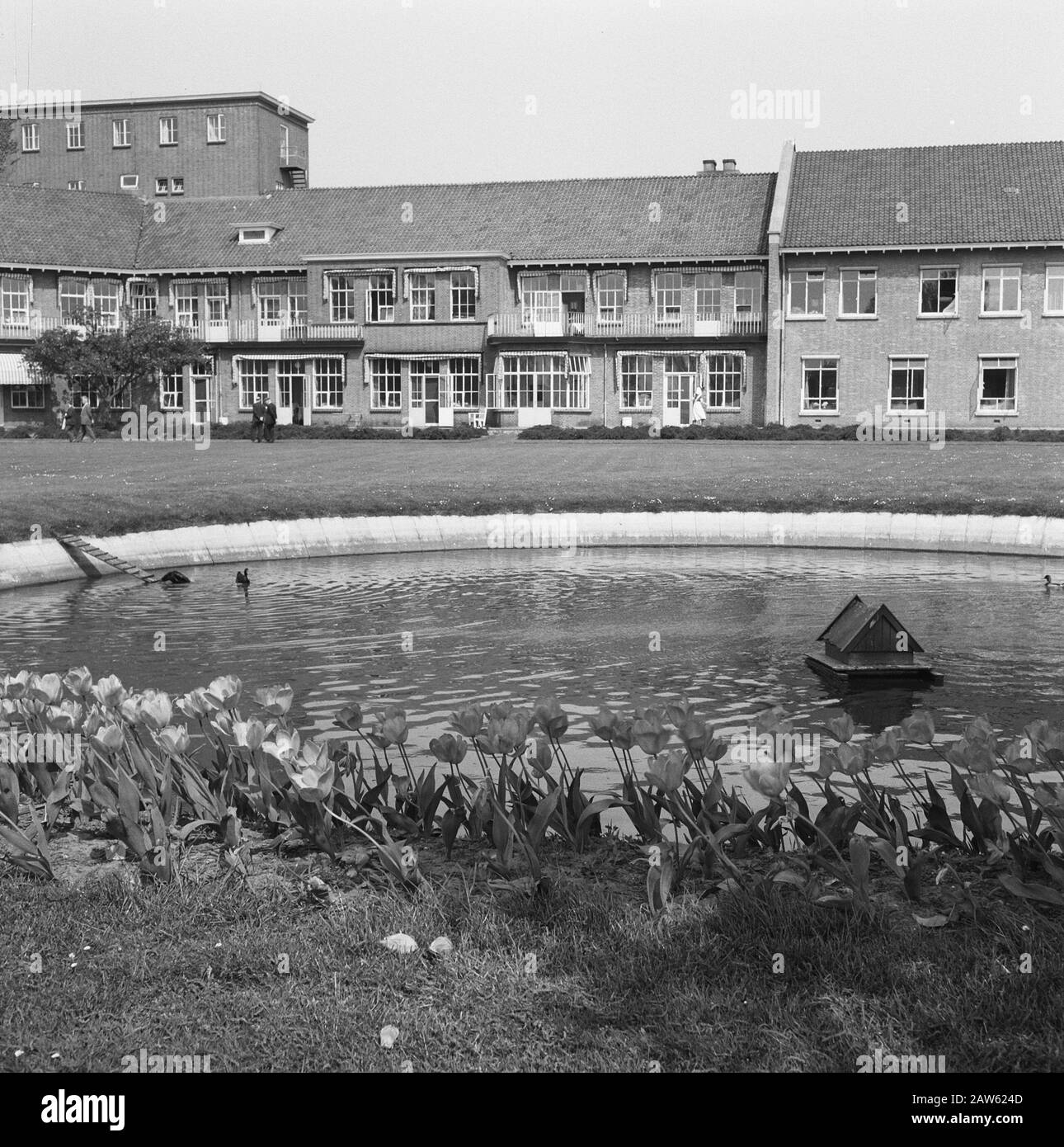 Hospital pond hi-res stock photography and images - Alamy