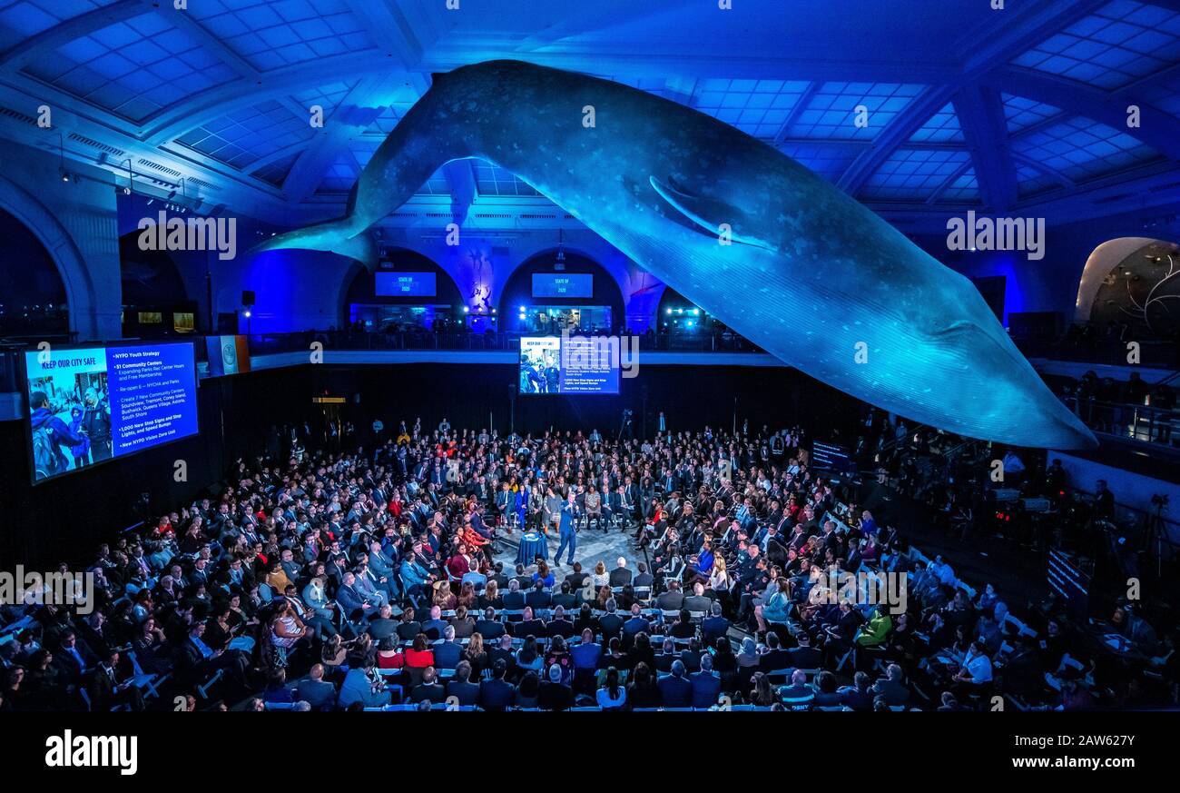 Ocean hall natural history museum hi-res stock photography and images ...