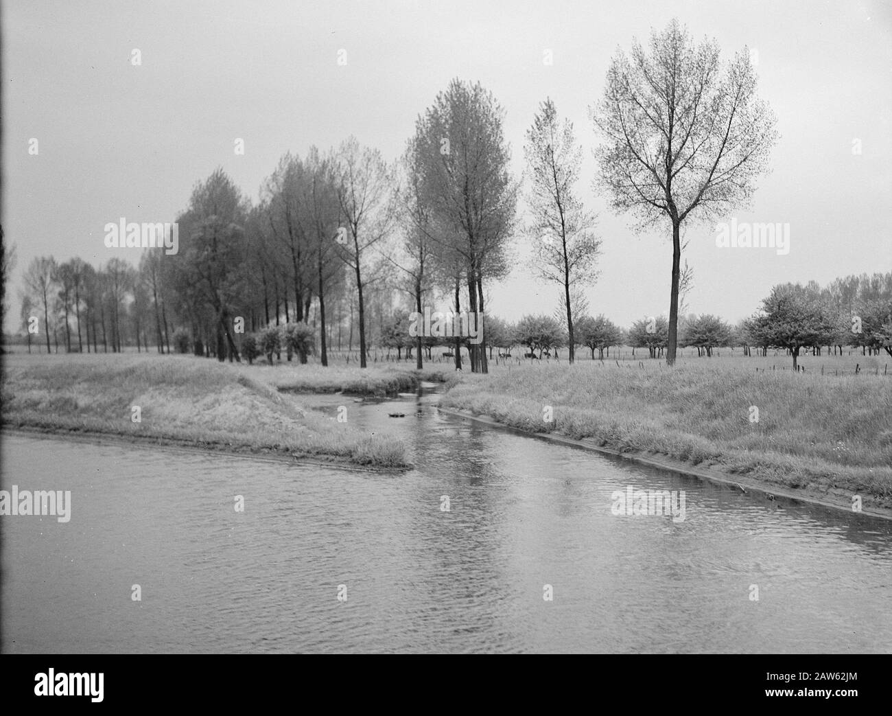 normalization of streams, digging and filling in trenches, laying ...