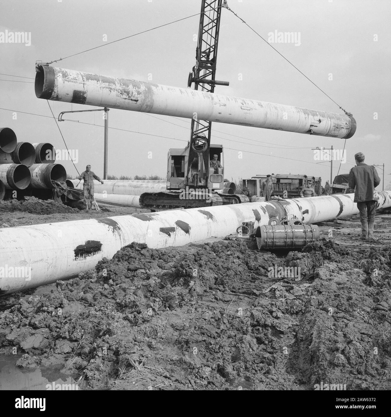 npc, pipelines, tubes transport Date: 1965 Keywords: pipe transport ...