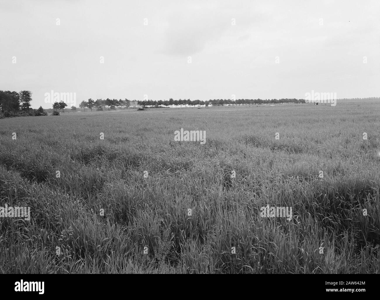 recreational areas, airports, etc., construction sports grounds, land ...