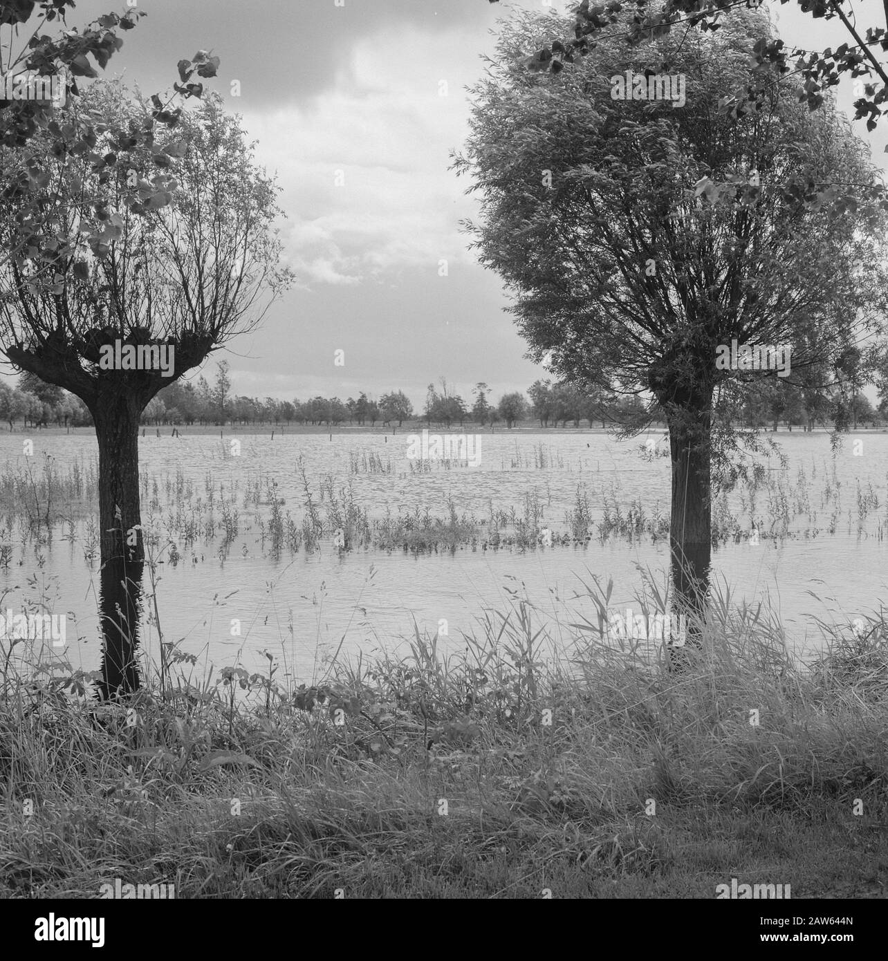 normalization of streams, digging and filling in ditches, new ...