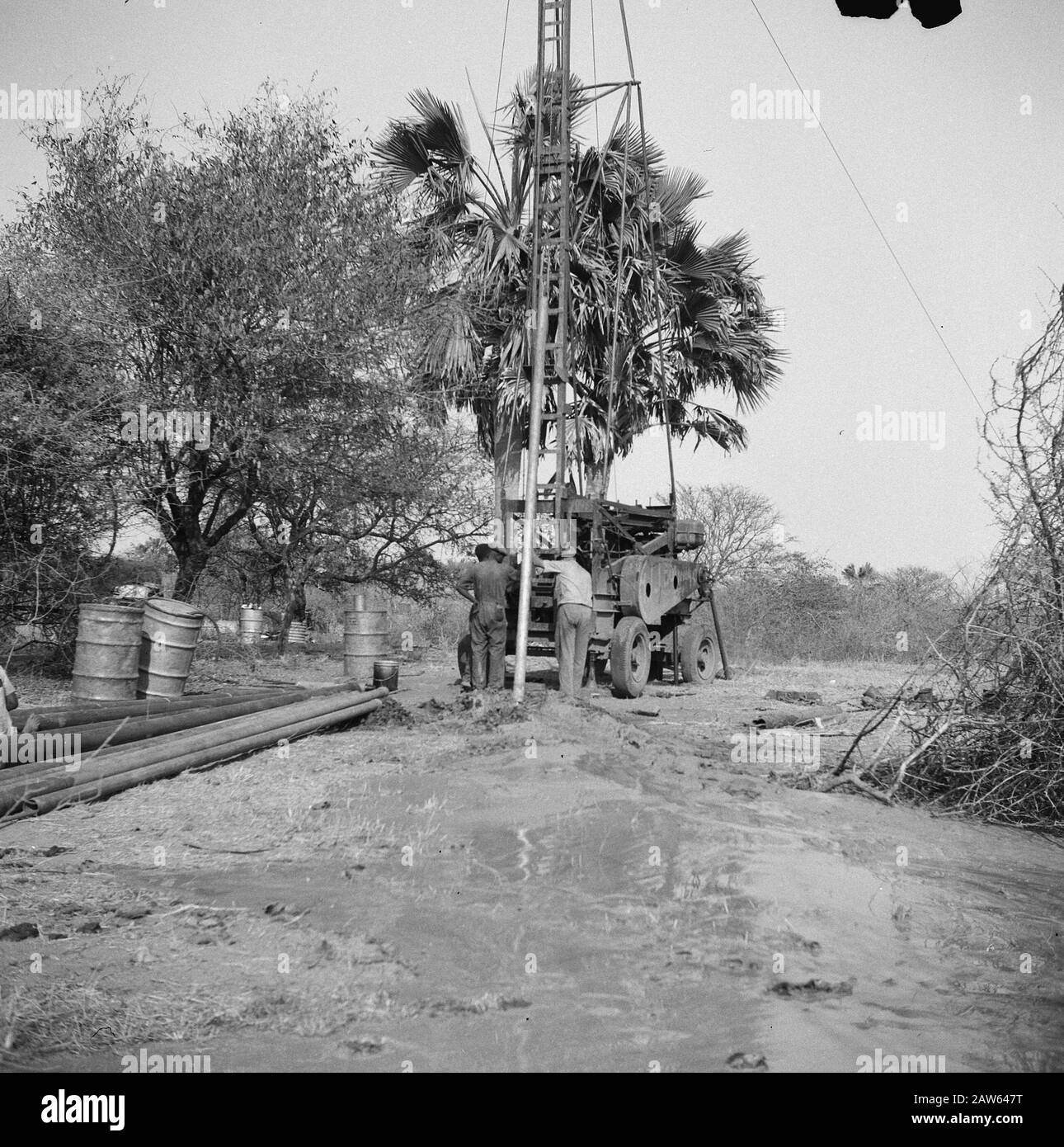 machinery, equipment, labor, barrels, trees Date: undated Keywords ...