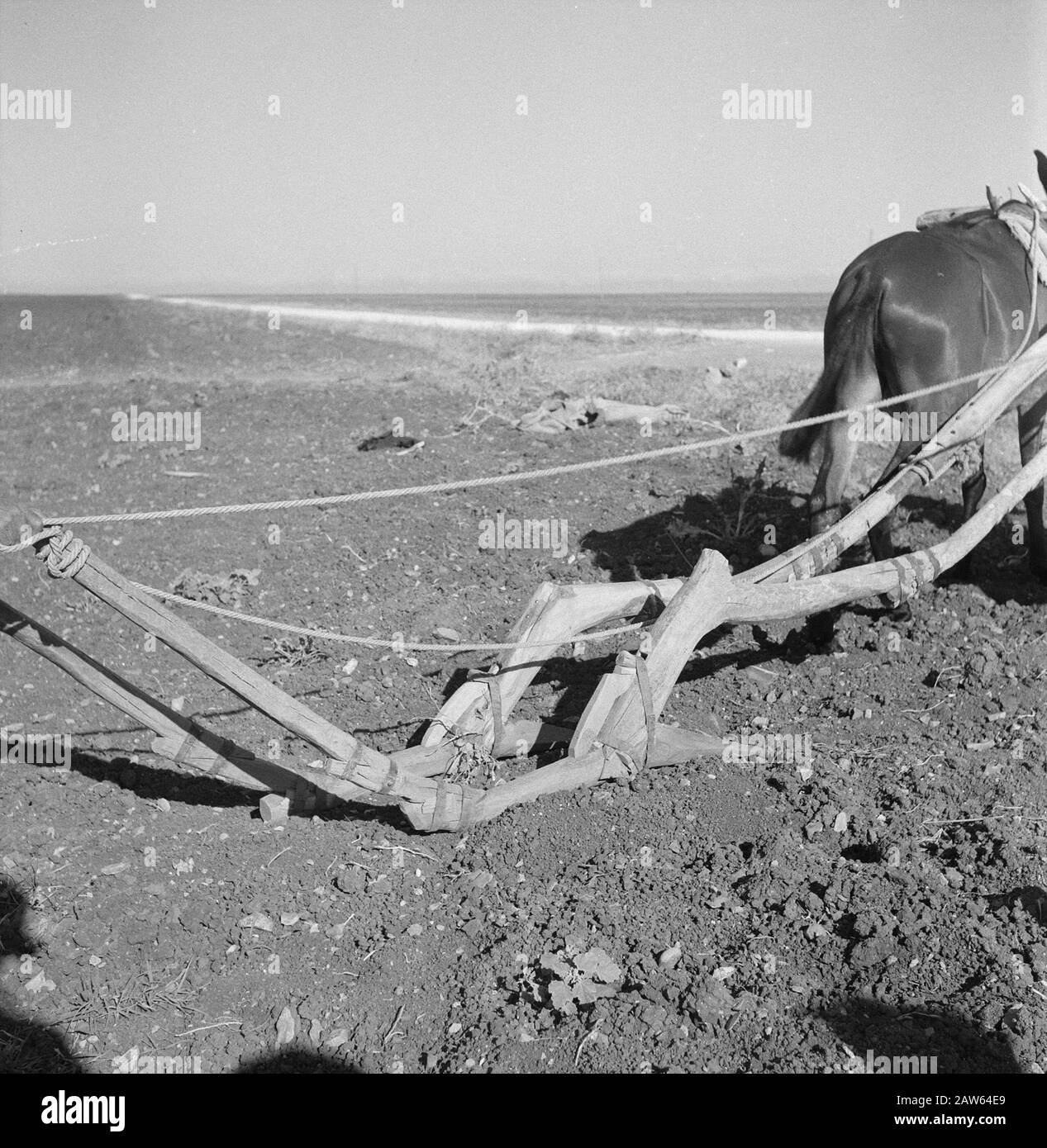 Ox powered machinery hi-res stock photography and images - Alamy