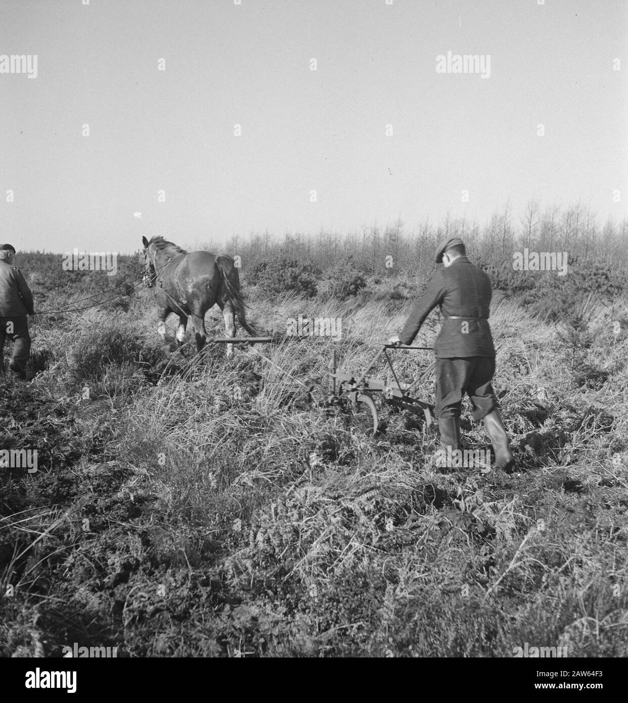 Agricultural machinery, equipment, labor, work, horses Date: undated ...