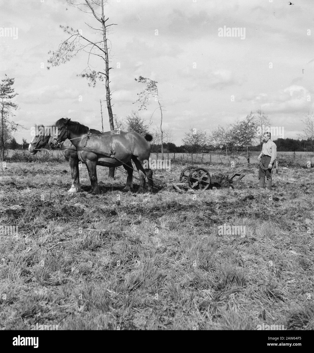 Agricultural machinery, equipment, labor, work, horses Date: undated ...
